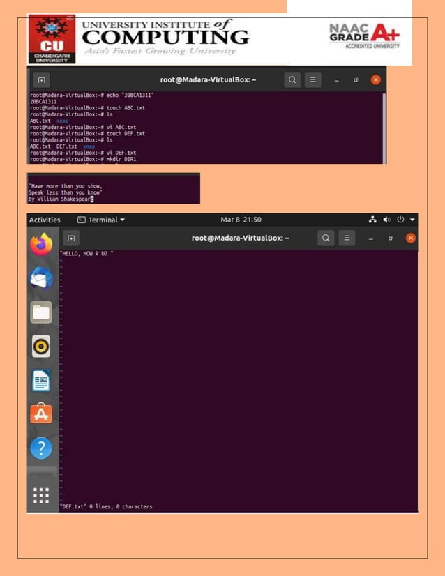 Exp_3_20BCA1066 Linux.docx