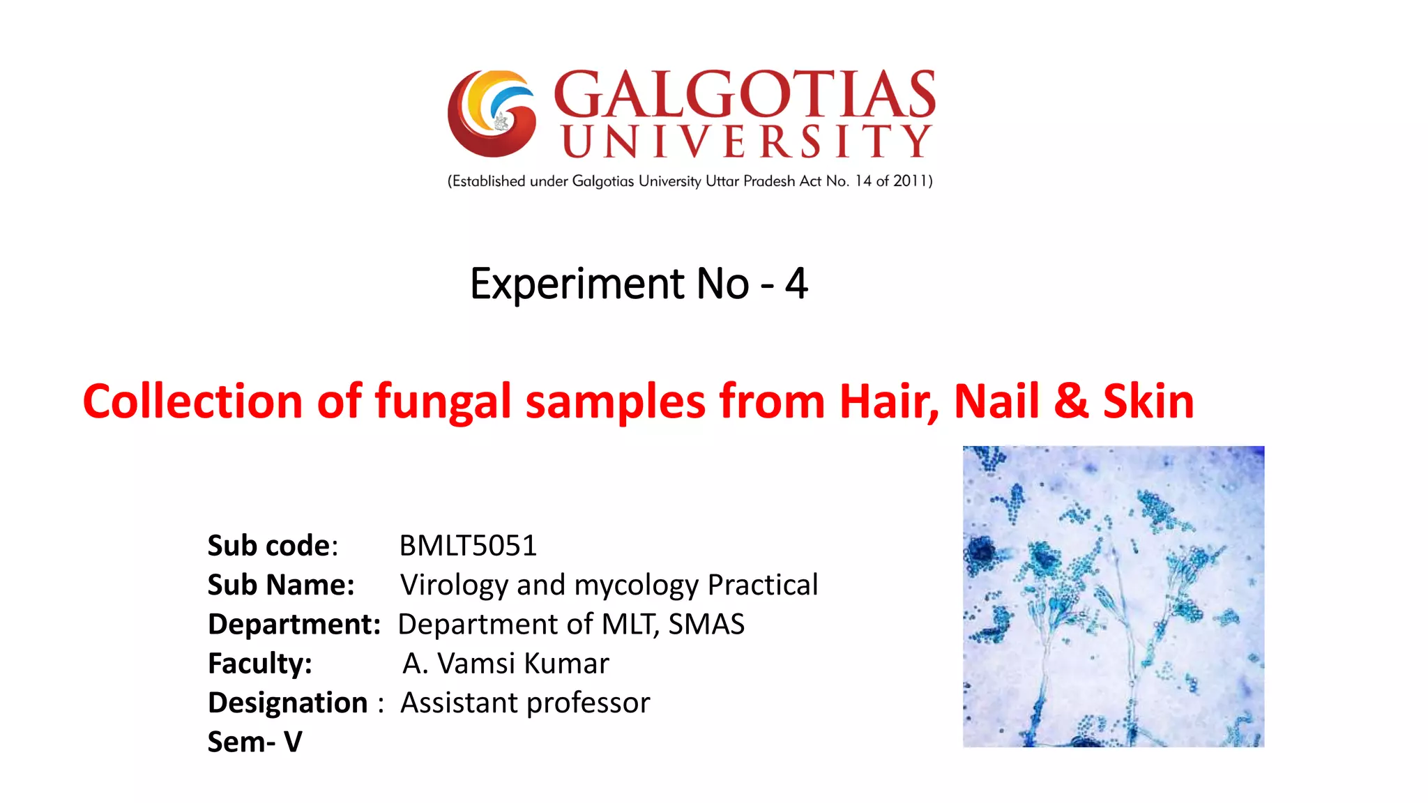 Collection of fungal samples Lab manual | PPTX