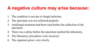 Collection of fungal samples Lab manual | PPTX