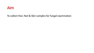 Collection of fungal samples Lab manual | PPTX