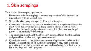 Collection of fungal samples Lab manual | PPTX