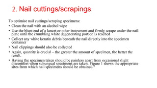 Collection of fungal samples Lab manual | PPT