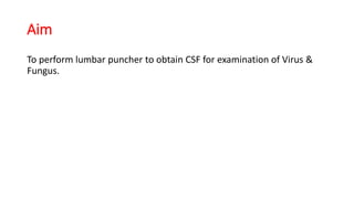 Lumbar Puncher | PPT | Free Download