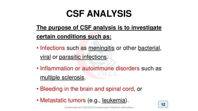 Lumbar Puncher | PPTX