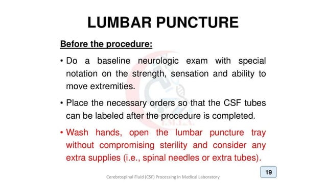 Lumbar Puncher | PPTX