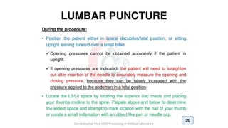 Lumbar Puncher | PPT