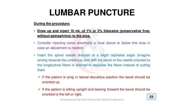 Lumbar Puncher | PPTX