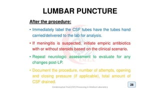 Lumbar Puncher | PPT