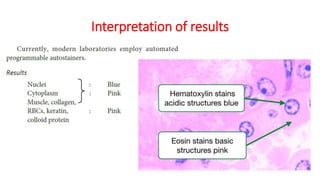 Demonstration of viral inclusion bodies | PPTX
