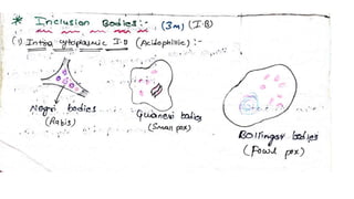 Demonstration of viral inclusion bodies | PPTX