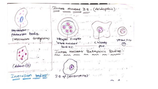 Demonstration of viral inclusion bodies | PPTX
