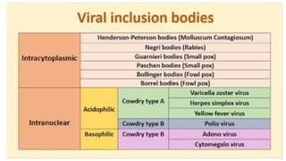 Demonstration of viral inclusion bodies | PPTX