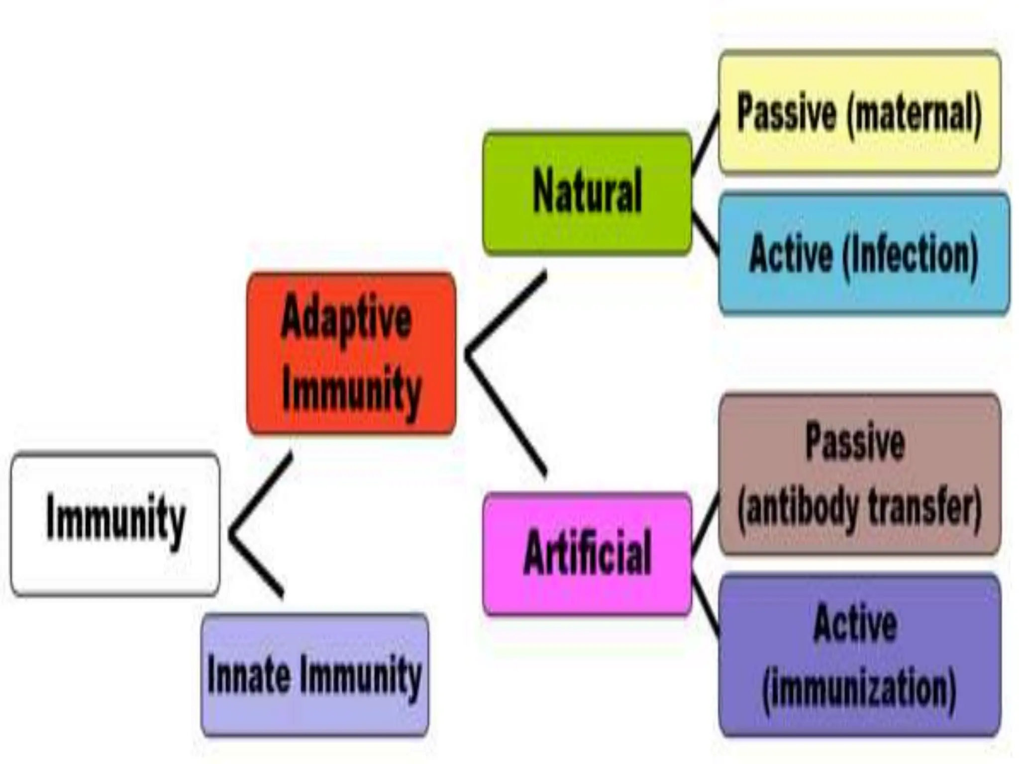 EXPANDED PROGRAMME IN IMMUNIZATION (EPI).pptx