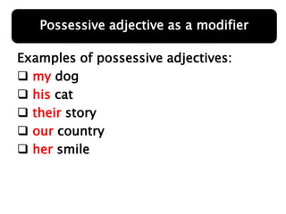 Expanding Sentences Through Noun Modification | PPTX