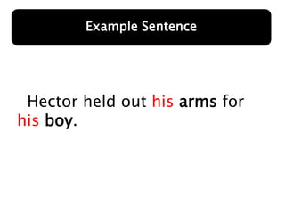 Expanding Sentences Through Noun Modification | PPTX
