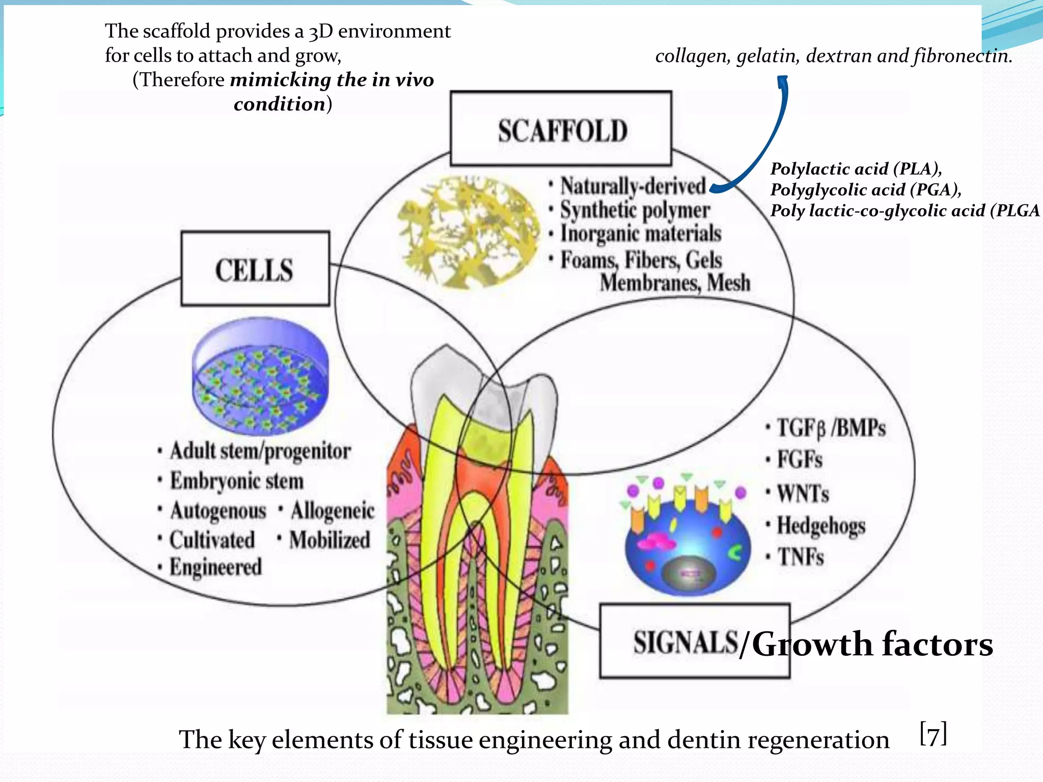 Expanding therapeutic boundaries: Regenerative Endodontics | PPTX