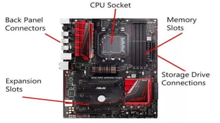 EXPANSION-CARD.pptx-ajin-and-aljismer.pptx