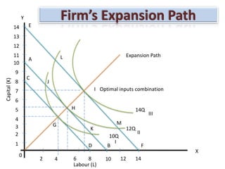 Expansion path | PPTX