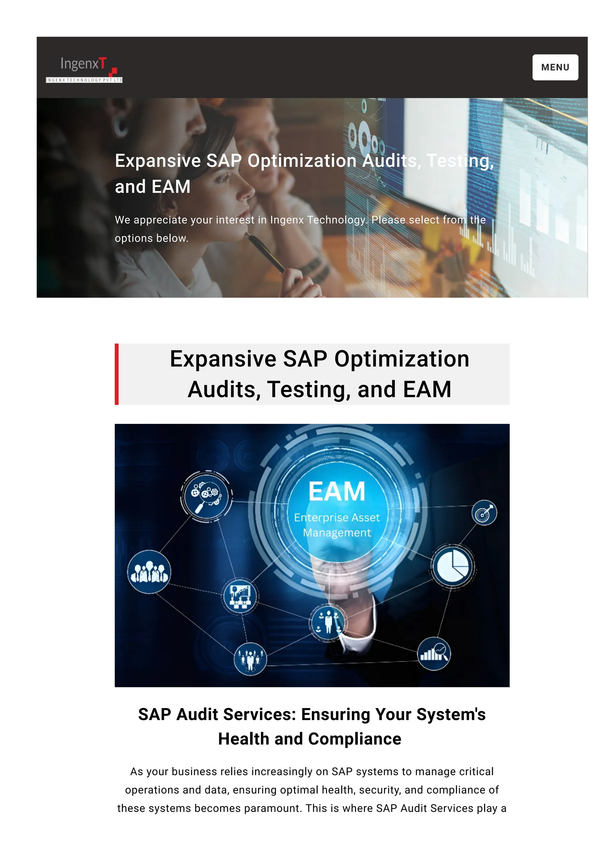 Expansive SAP Optimization Audits, Testing, and EAM.pdf