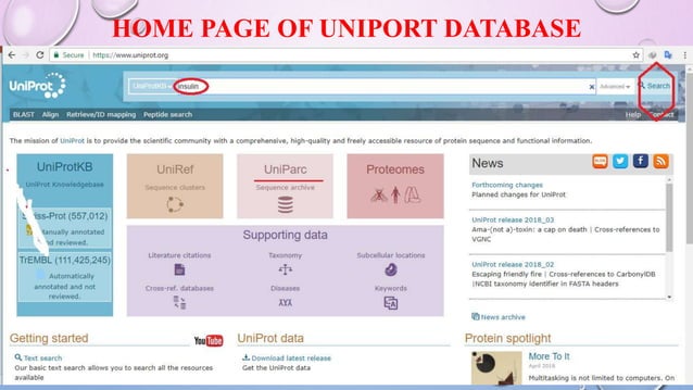 (Expasy) | PPTX | Databases | Computer Software and Applications