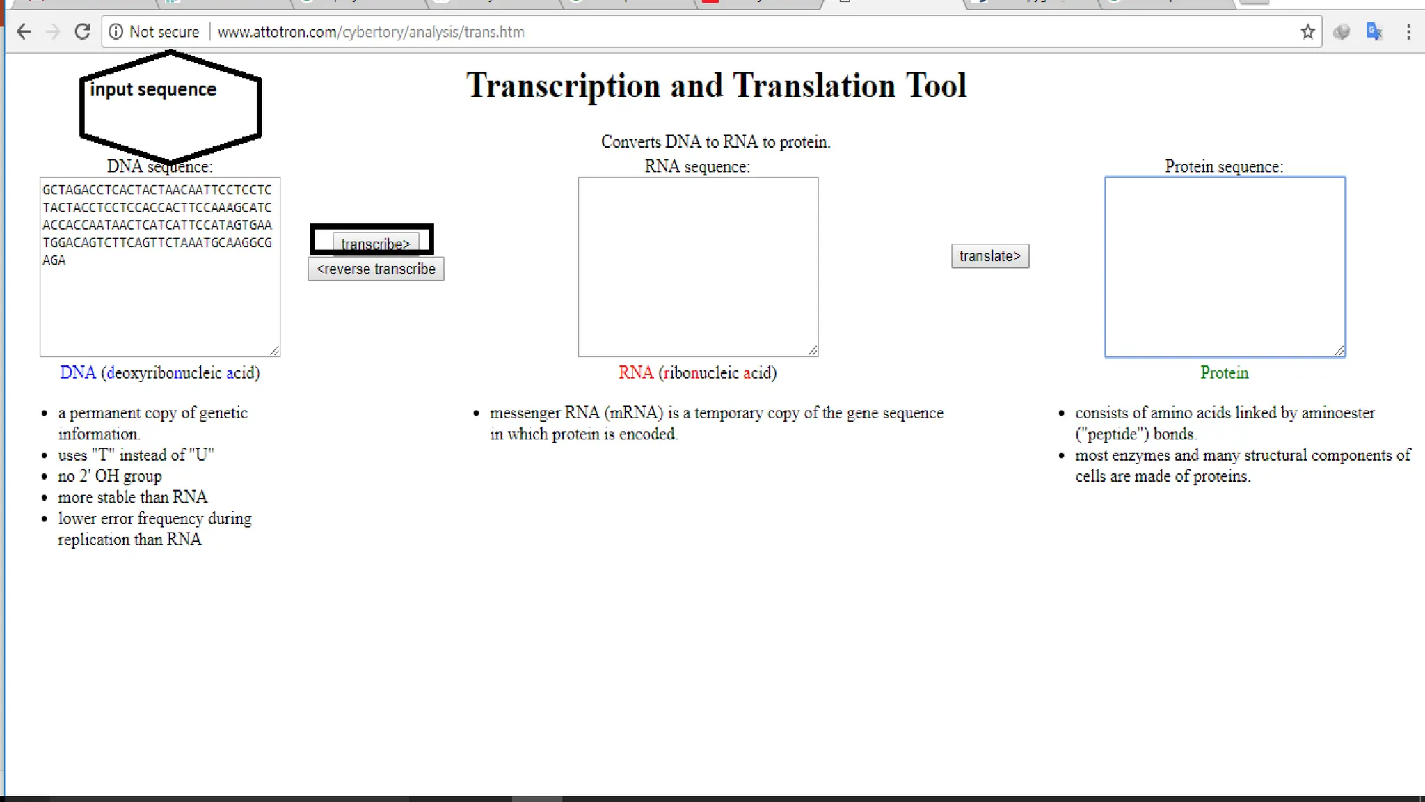 Expasy_introduction_transcription_translation.pptx