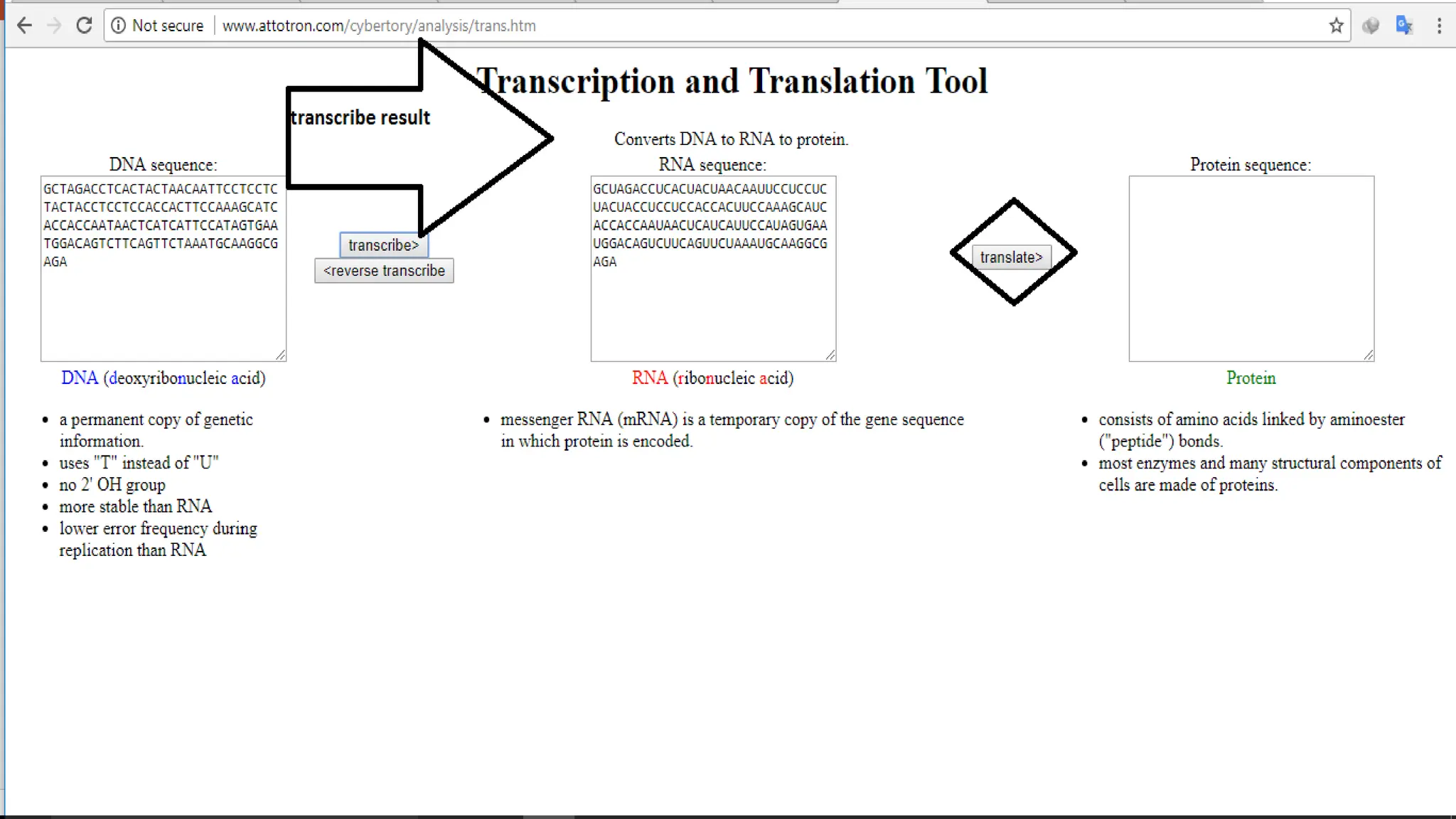 Expasy_introduction_transcription_translation.pptx
