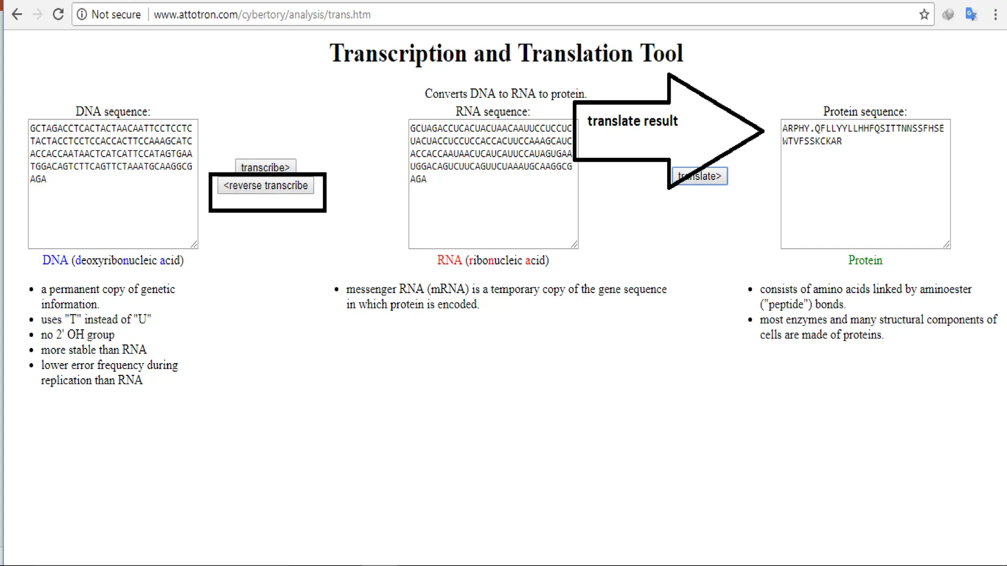 Expasy_introduction_transcription_translation.pptx