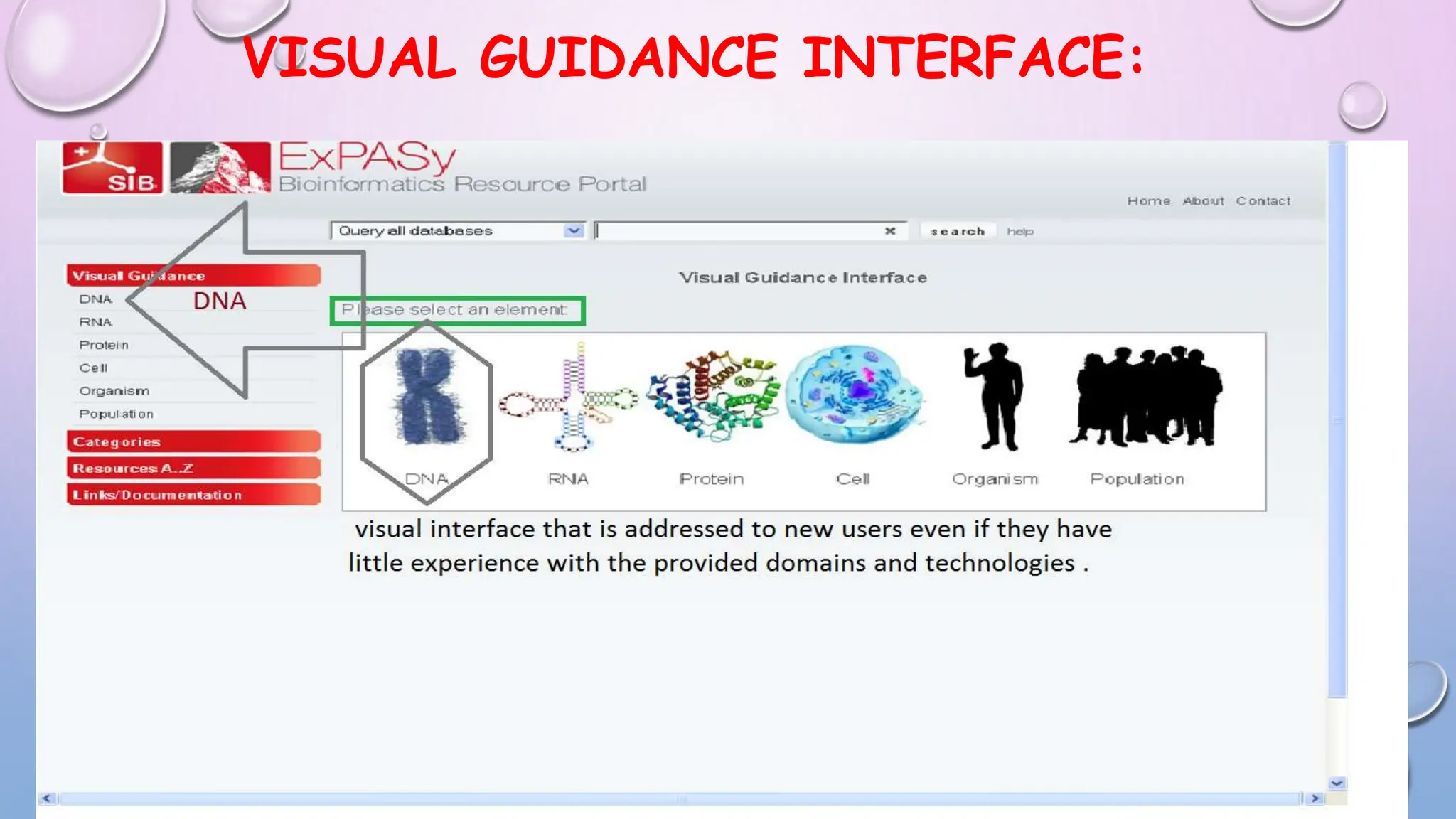 Expasy_introduction_transcription_translation.pptx