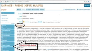 Expasy_introduction_transcription_translation.pptx