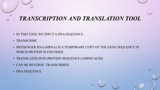 Expasy_introduction_transcription_translation.pptx