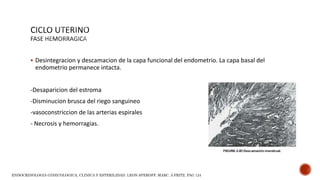 CICLO OVARICO | PPTX