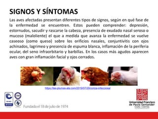 coriza infecciosa aviar | PPTX