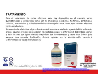 coriza infecciosa aviar | PPTX