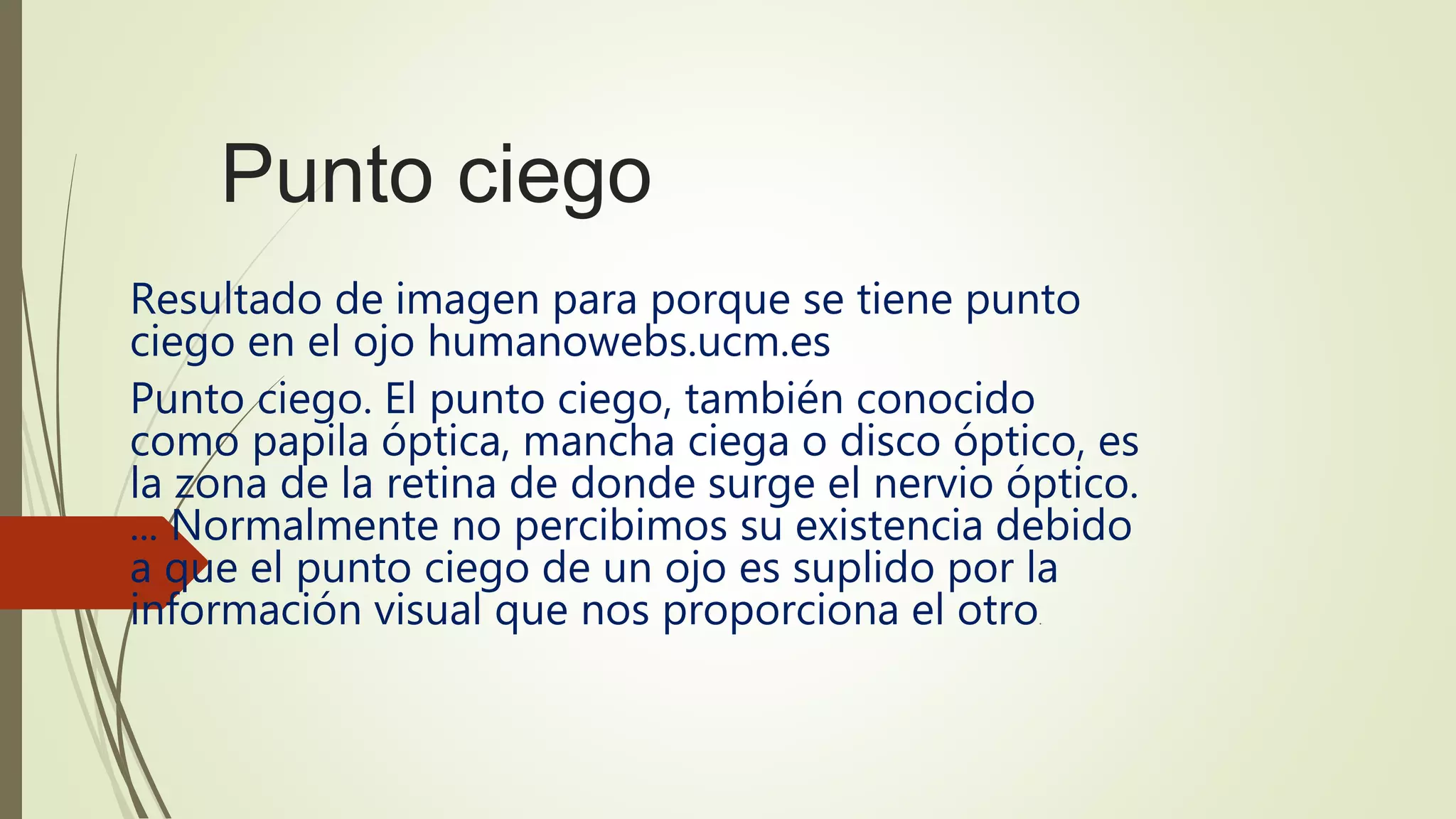 Exp del punto ciego | PPTX