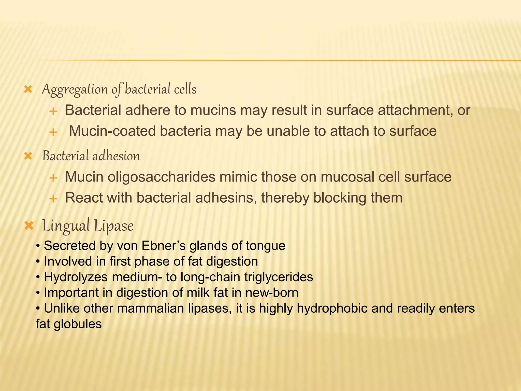 Salivary enzymes and their functions | PPTX