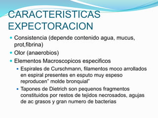 Estudio de Expectoracion | PPTX