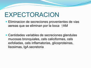 Estudio de Expectoracion | PPTX