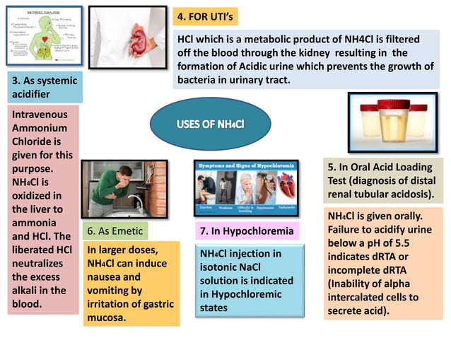 Expectorants (PCI syllabus, B.Pharm) | PPTX