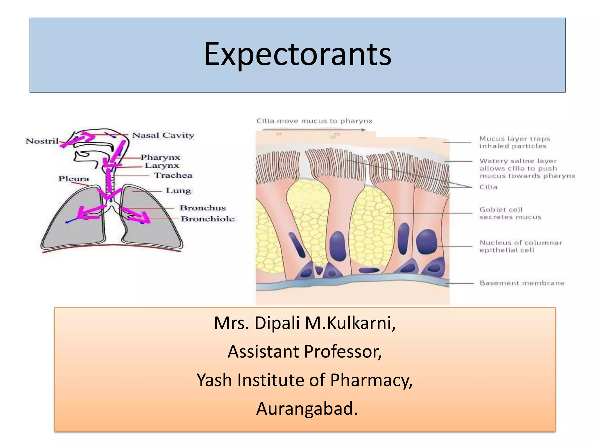 Expectorants | PDF