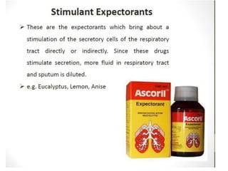Expectorants and antitussives-Dr.Jibachha Sah,M.V.Sc,Lecturer | PDF