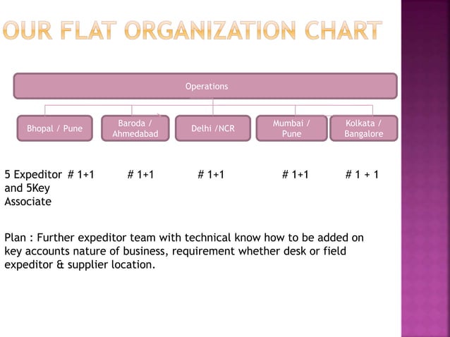Astonish Expediting managed by professionals | PPT