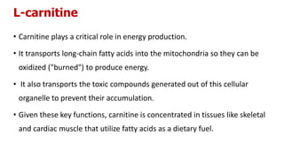 L-Carnitin Brochure | PDF