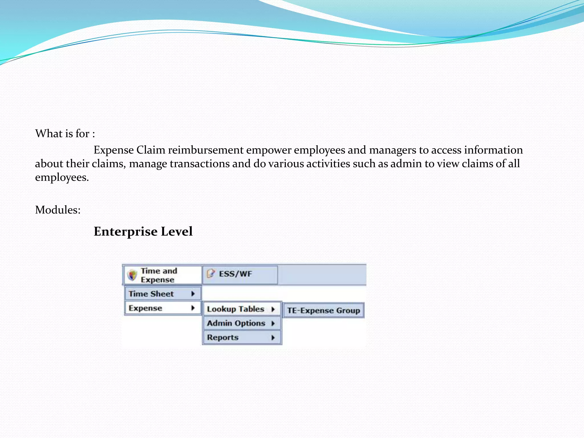Expense Claim Reimbursement | PPTX