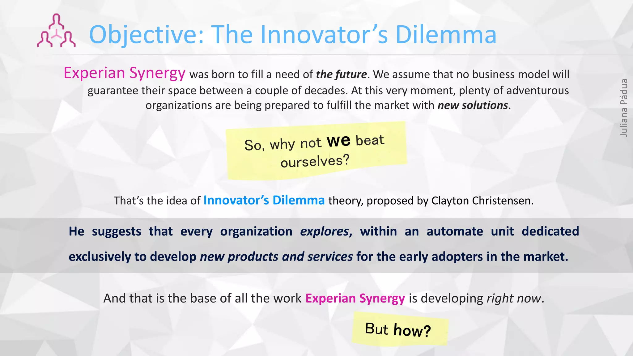 Experian Synergy - What is it? | PDF