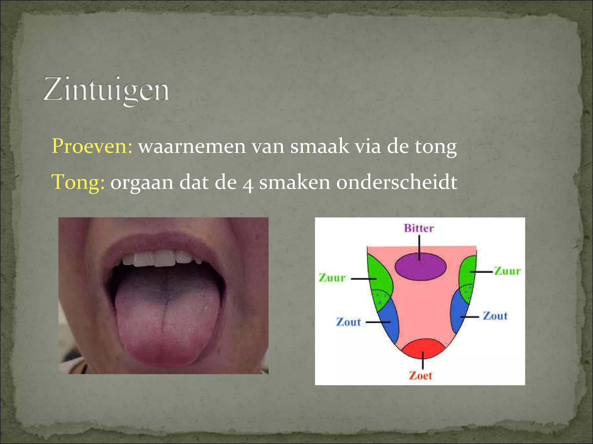 Experience Design | PPT