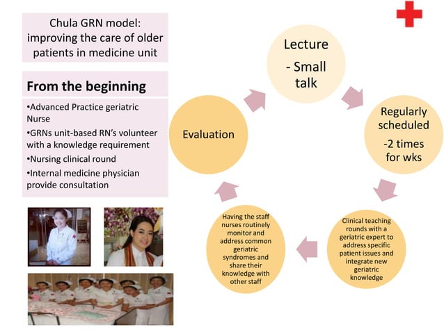 Experience of nursing practice roles of apn | PPT