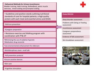 Experience of nursing practice roles of apn | PPTX