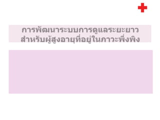 Experience of nursing practice roles of apn | PPTX