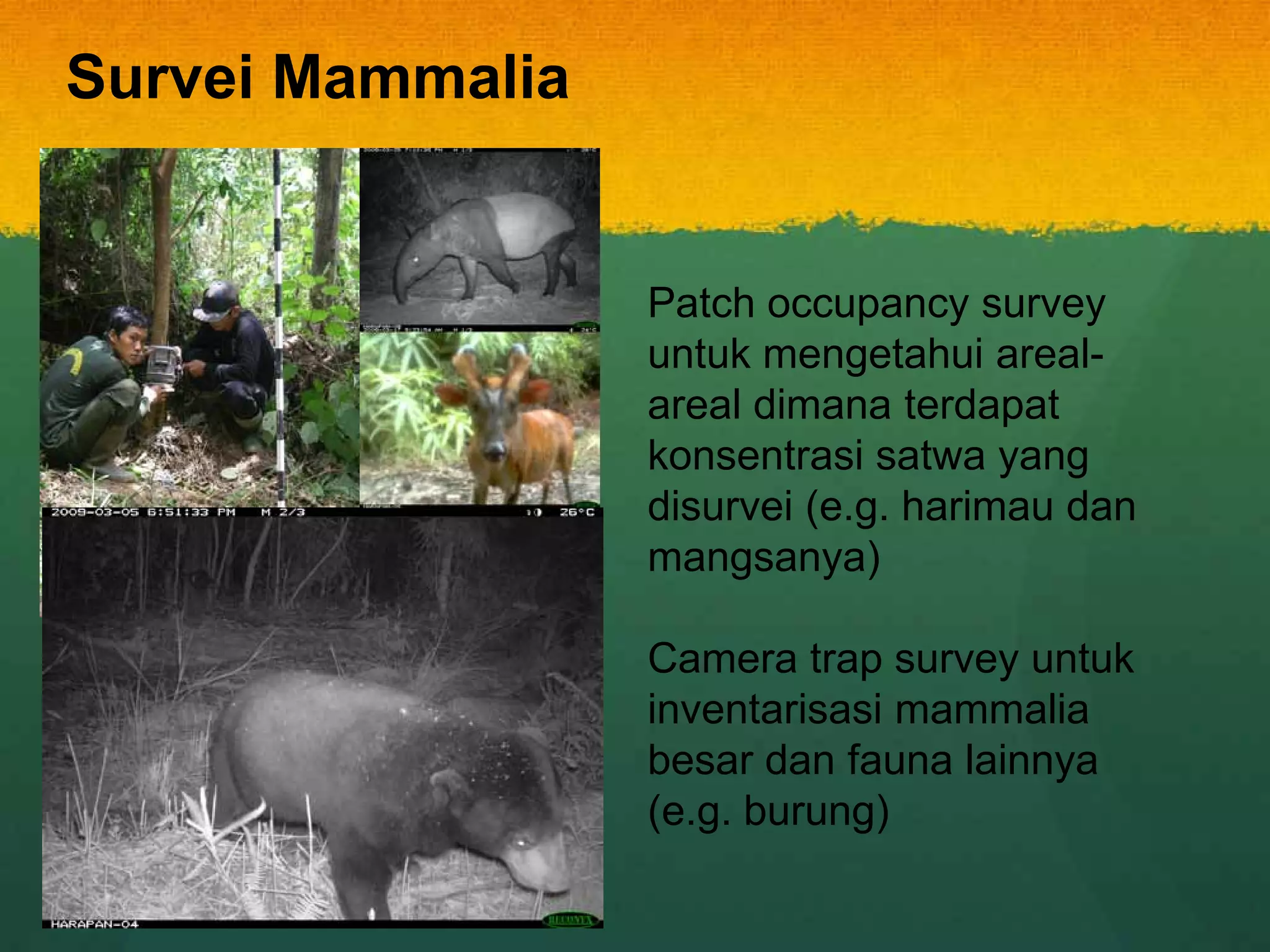 Habitat Restoration Flora & Fauna | PDF