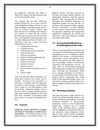 Experiences and Thoughts on Indigenous Business and Economic ...